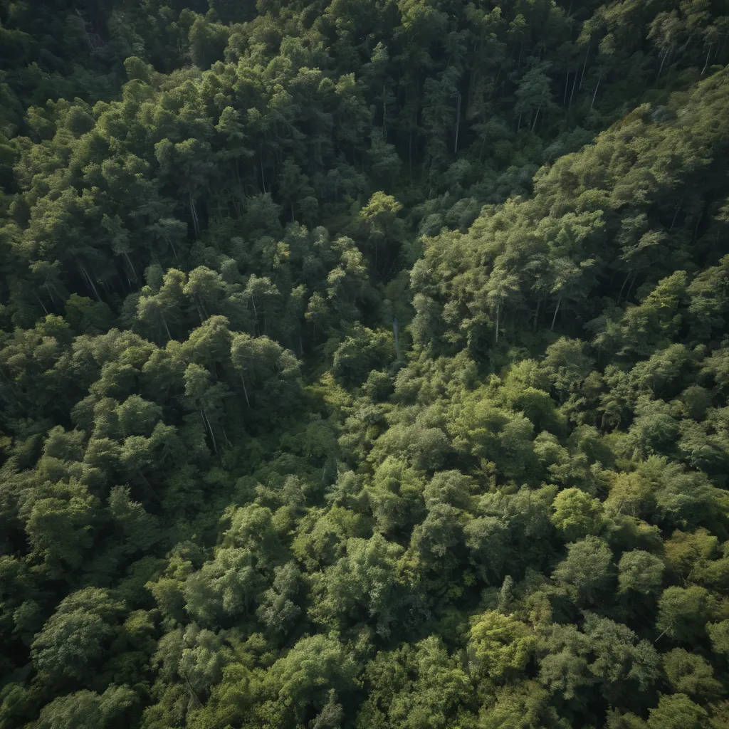 Exploring Aerial Innovations in Forestry Management